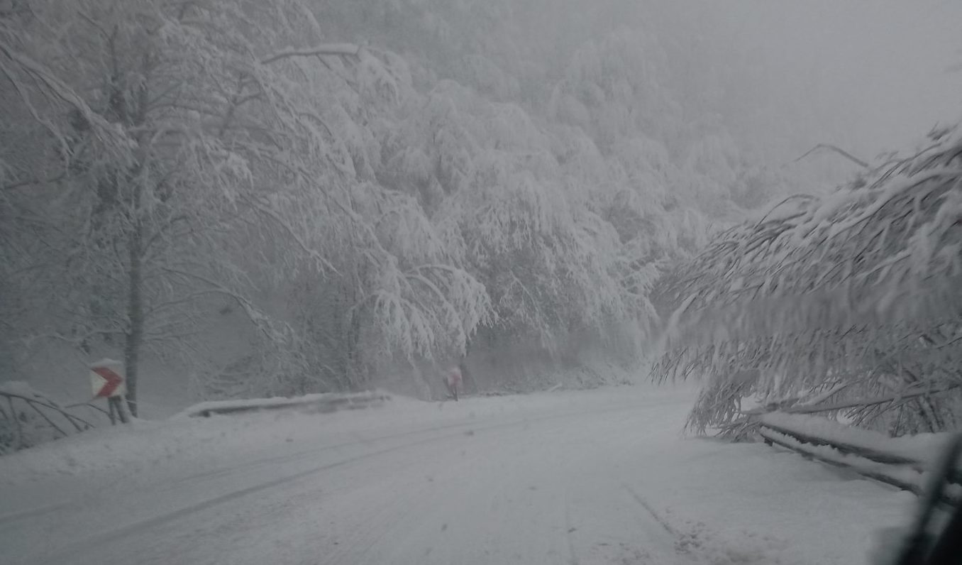 Забрана за тешки товарни возила на патниот правец Кичево Гостивар преку планински превој Стража