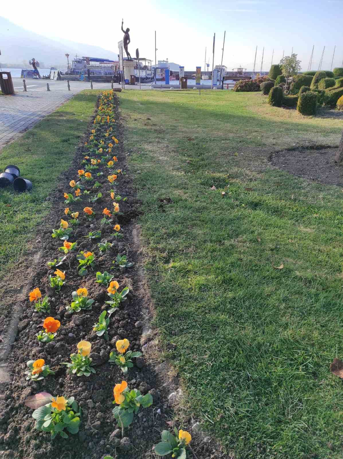 Се разубавуваат јавните зелени површини во градот - OhridNews